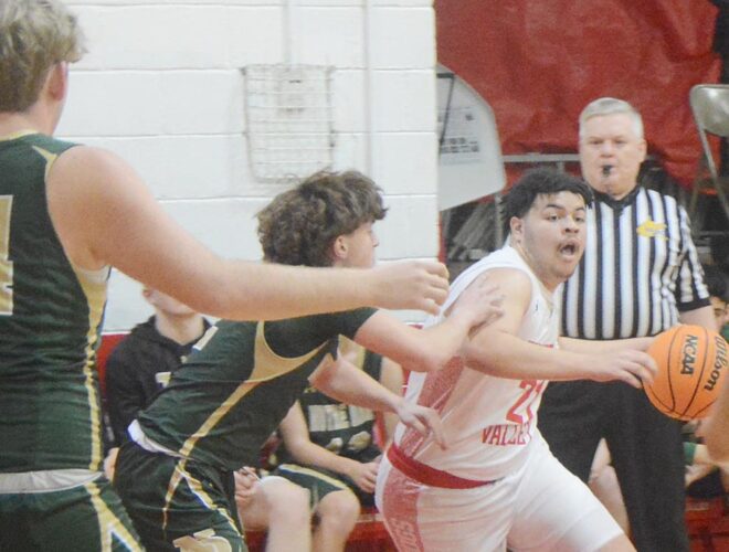 Bulldogs visit ’Cats tonight in sectional title game | News, Sports ...